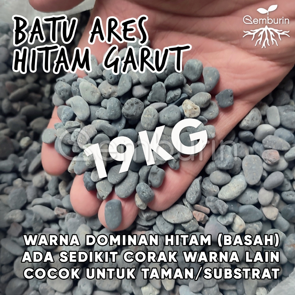 Jual Batu Ares Hitam Garut 19-20 Kg KARUNGAN / Pasir Koral Hias Abu Abu ...