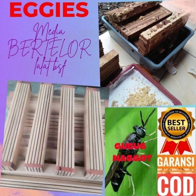 Jual EGGIS MEDIA TELUR LALAT MAGOT BSF kayu tempat telur maggot lalat ...