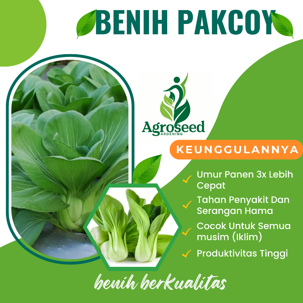 Jual 30 Benih Pakcoy Bibit Unggul Tanaman Hidroponik | Shopee Indonesia