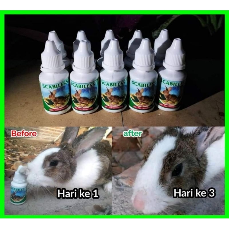 Jual SCABILESS 30ml,OBAT SCABIES/JAMUR,GUDIK,KOREP PADA KELINCI ...