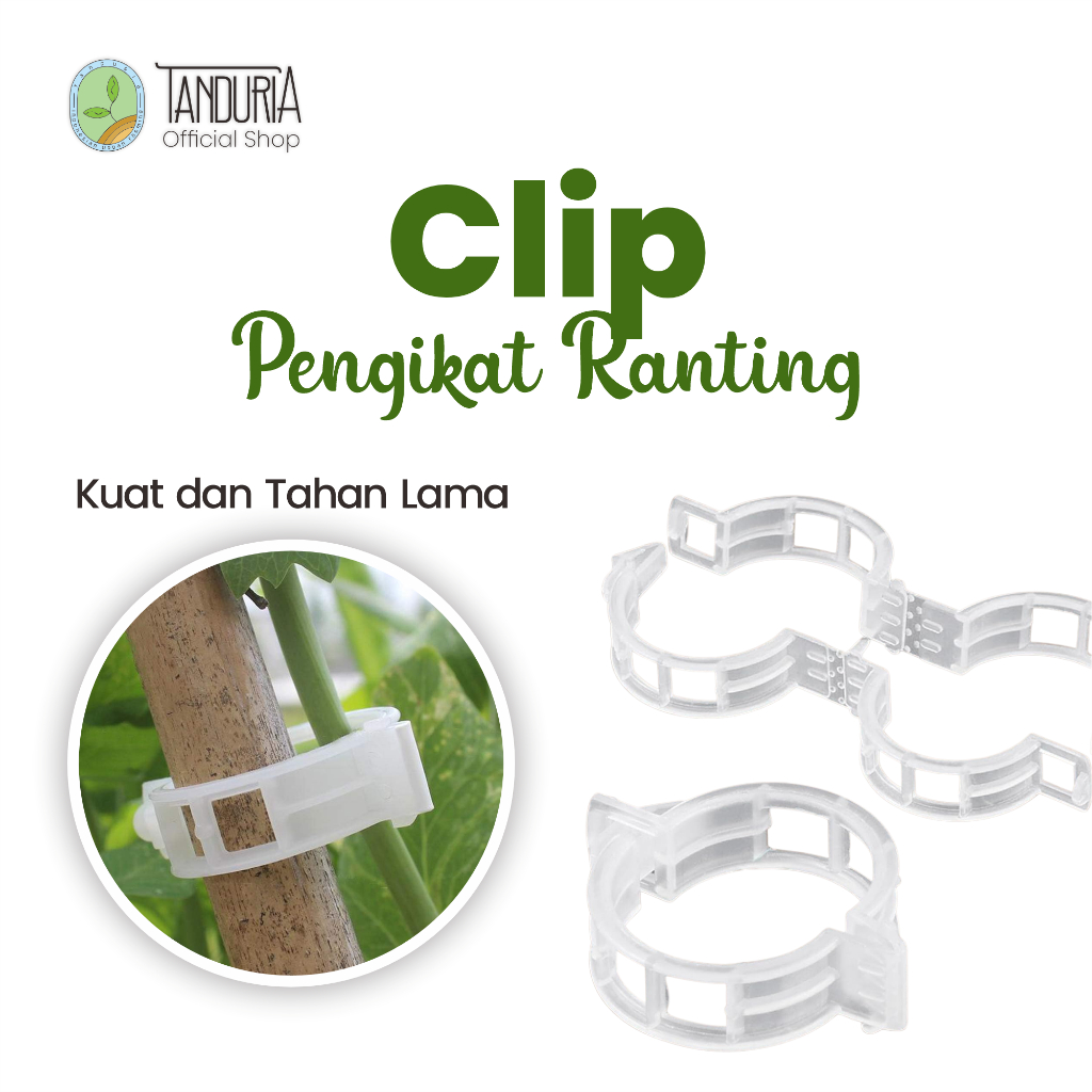 Jual TANDURIA - Klip Pengikat Ranting Clip Bulat Penjepit Batang ...