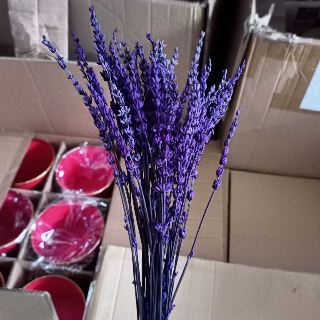 Jual LAVENDER DRIED FLOWER BUNGA KERING ECER PER 10 TANGKAI / PER 1 ...