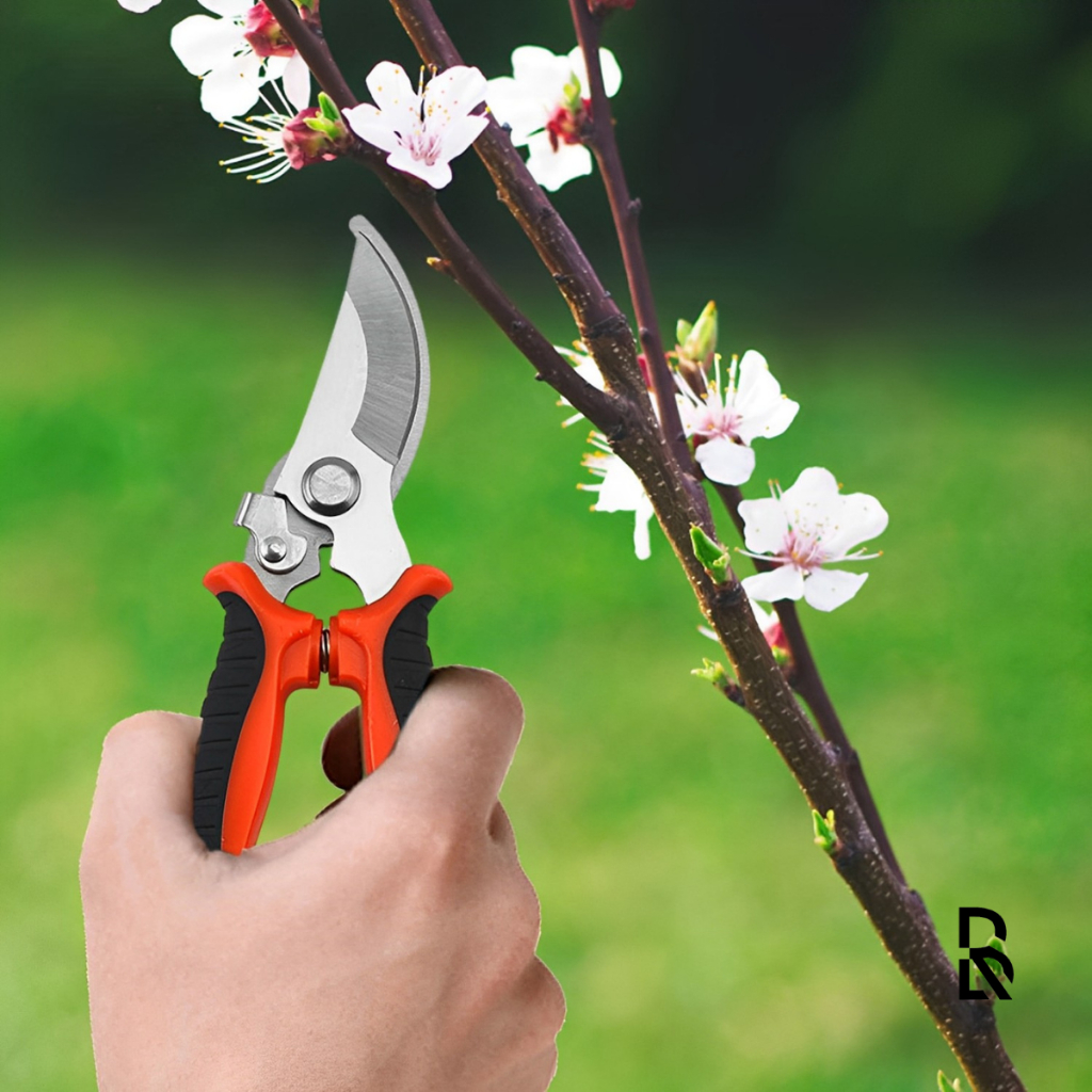 Jual Gunting Dahan Multifungsi Bonsai Taman Pruning Shear Scissors ...