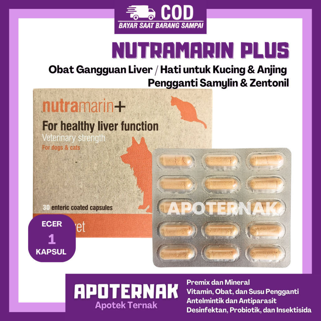 Jual NUTRAMARIN PLUS 1 KAPSUL - Obat Gangguan Liver Hati untuk Kucing ...