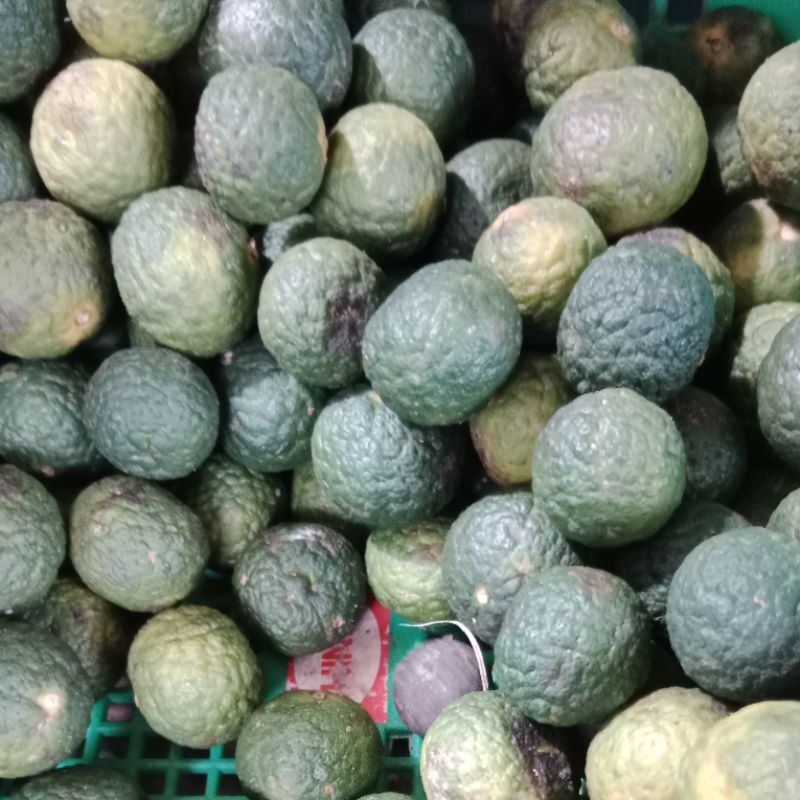 Jual KODE A Jeruk Limo Jeruk Limou Jeruk Sambal Jeruk Baso aci Jeruk ...