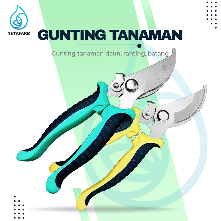 Jual Gunting Tanaman Daun Ranting Dahan Alat Berkebun DUA WARNA -1pcs ...