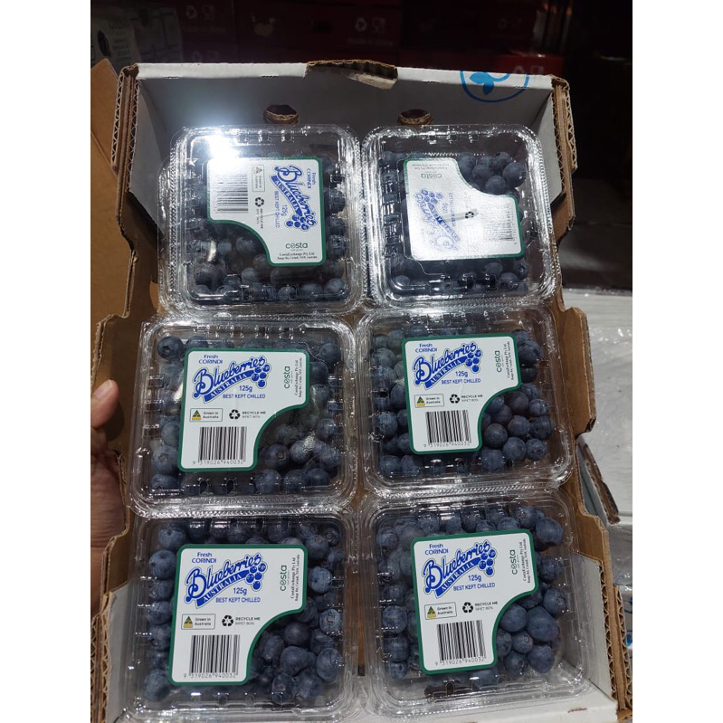 Jual Blueberry australia Corindi Berat 125 gram /pack | Shopee Indonesia