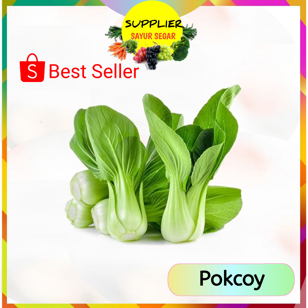 Jual Pokcoy Pakcoy Per Ikat - Supplier Sayur Sayuran Segar Palembang ...