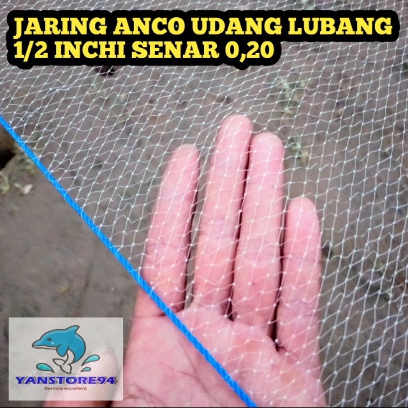 Jual Jaring anco udang dan ikan kecil lubang 1/2 inchi ukuran 2,6×2,6 meter | Shopee Indonesia