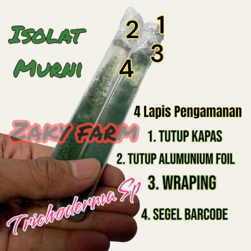 Jual Trichoderma | Isolat Trichoderma | Trichoderma harzianum | Isolat ...