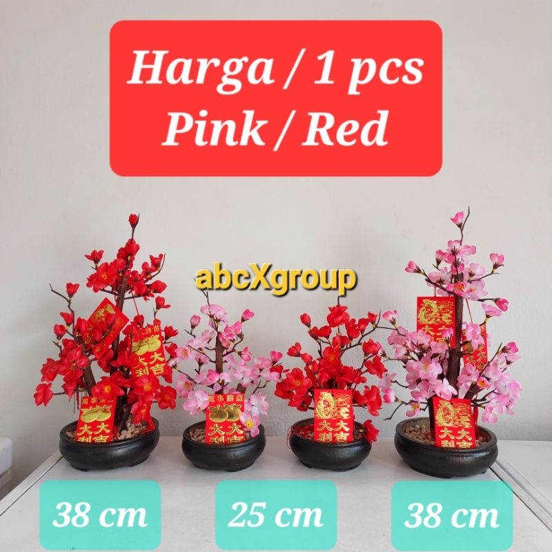 Jual Pohon Imlek MeiHua MeHwa AngPao Bonsai 25 30 38 cm, Hiasan ...
