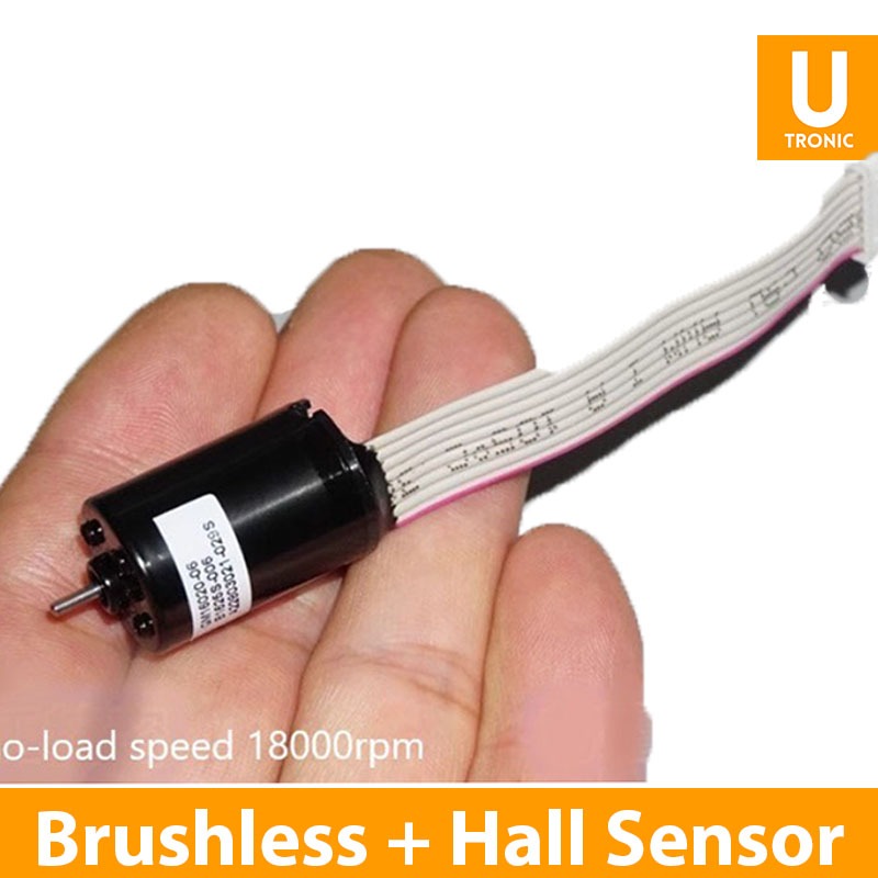 Jual Dinamo Brushless Motor + Hall Sensor 12V 18000 rpm 16mm (8396 ...