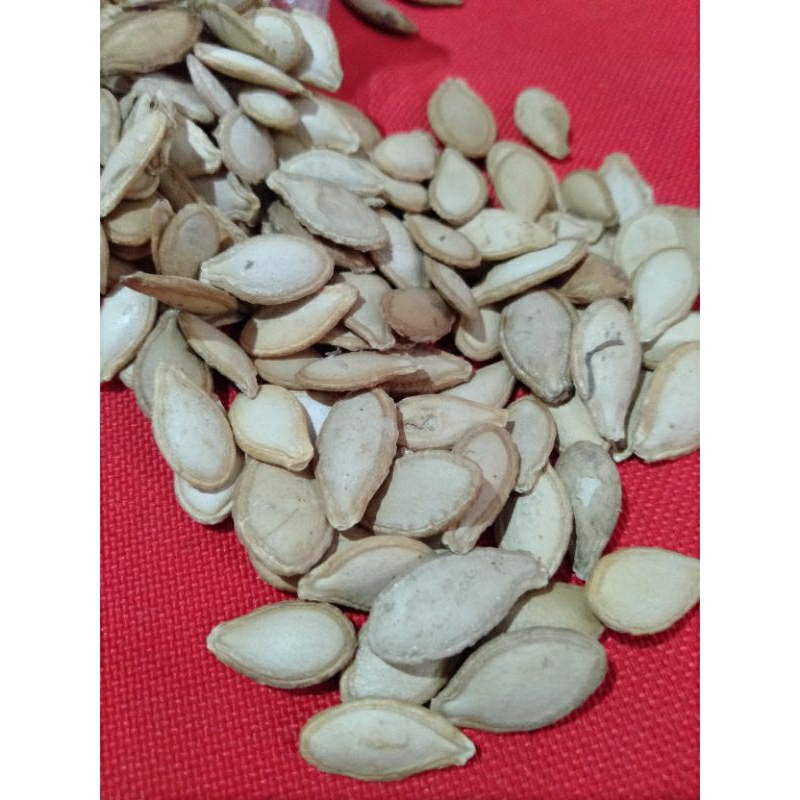 Jual BENIH BIJI BIBIT WALUH KUNING BERKUALITAS SUPER 1KG | Shopee Indonesia