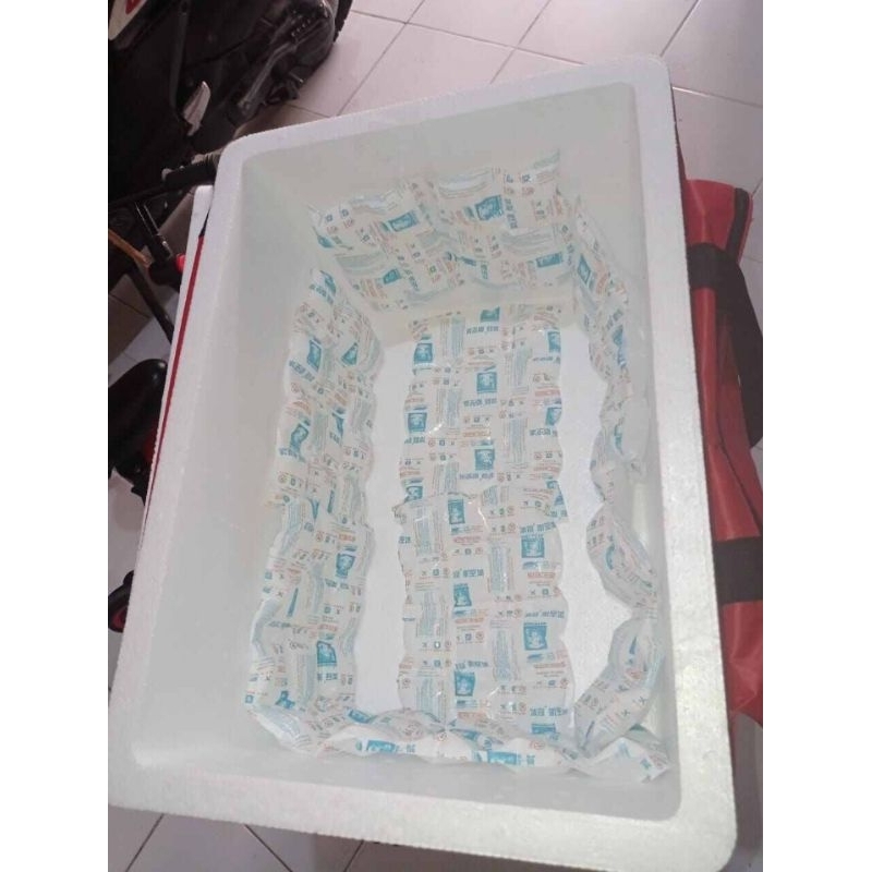 Jual PAKET ICE BOX BESAR (TAS+BOX STYROFOAM+ICE GEL) | Shopee Indonesia