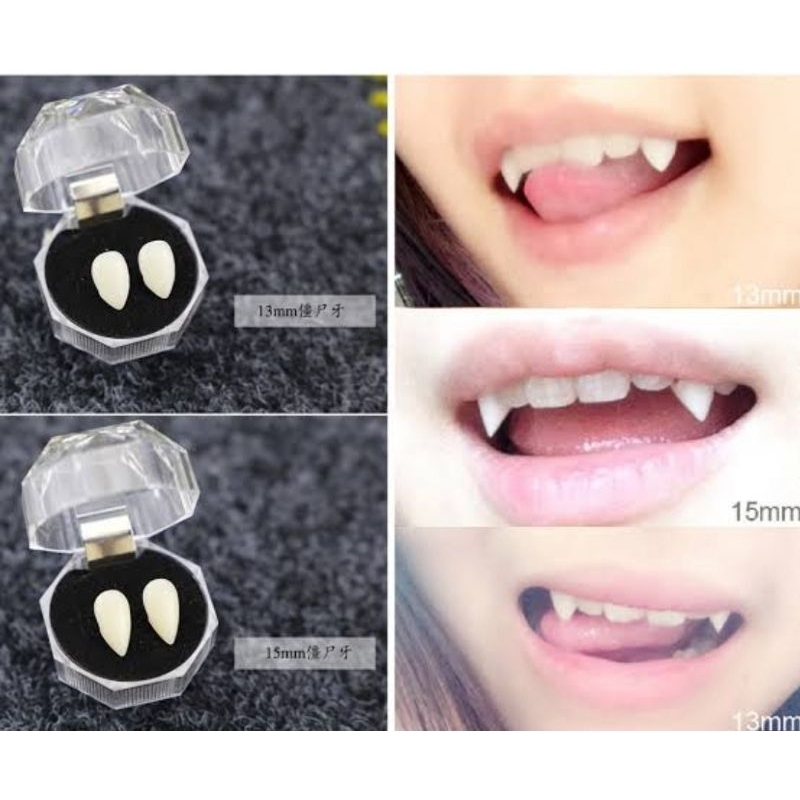 Jual gigi taring + lem | Shopee Indonesia