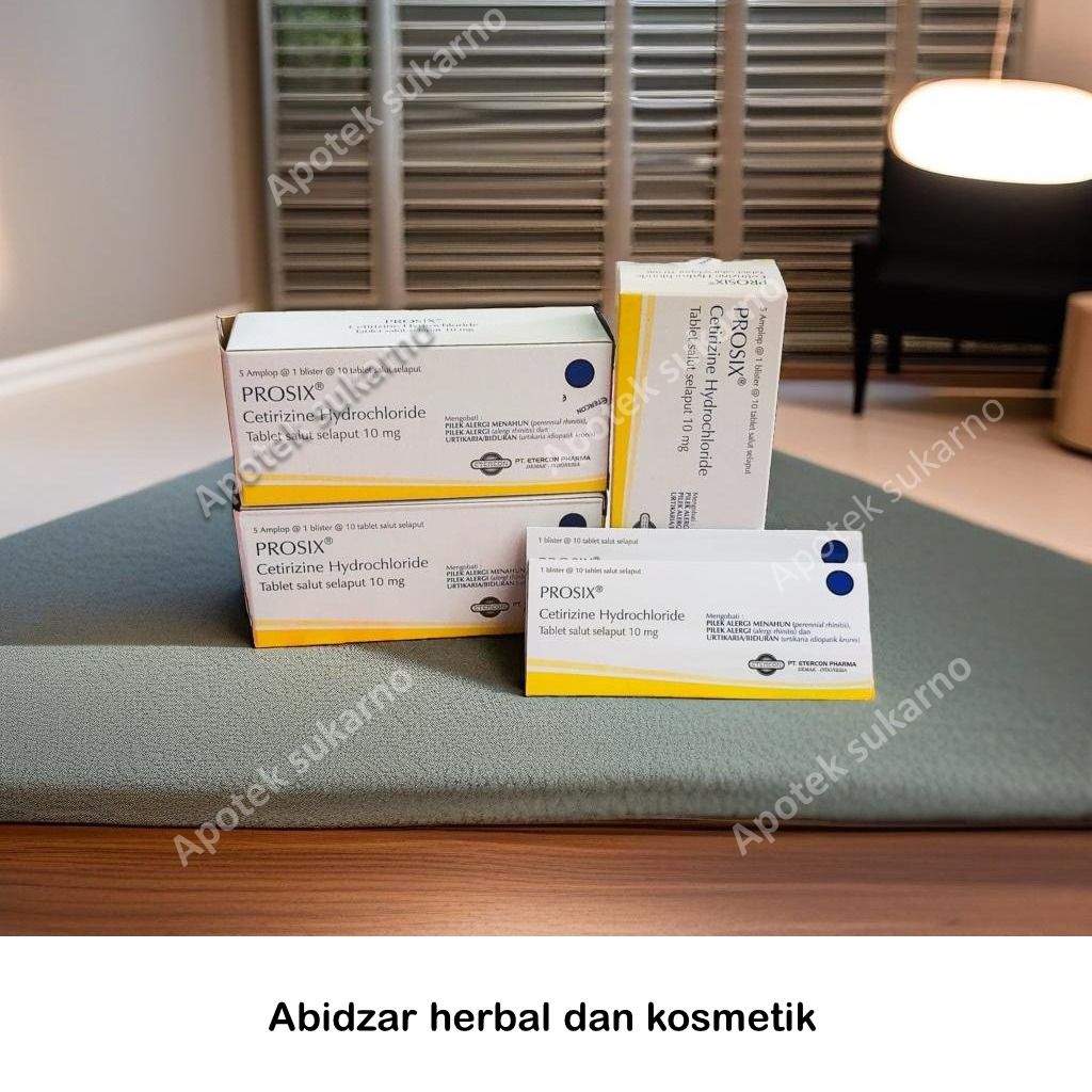 Jual PROSIX TABLET // ALERGI // GATAL // BIDURAN // BERSIN | Shopee ...