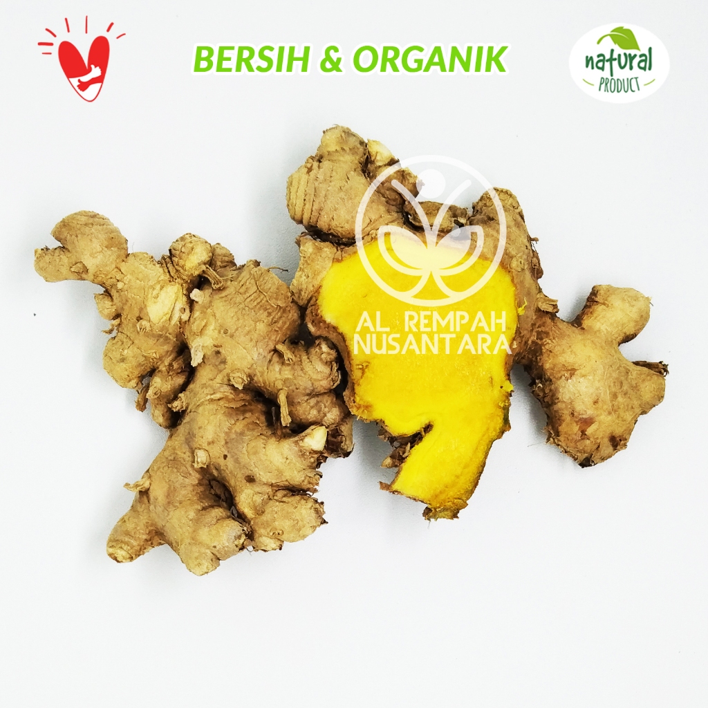 Jual Bangle / Bengle Segar dan Tua 500gr untuk Sawan dan Jamu | Shopee ...