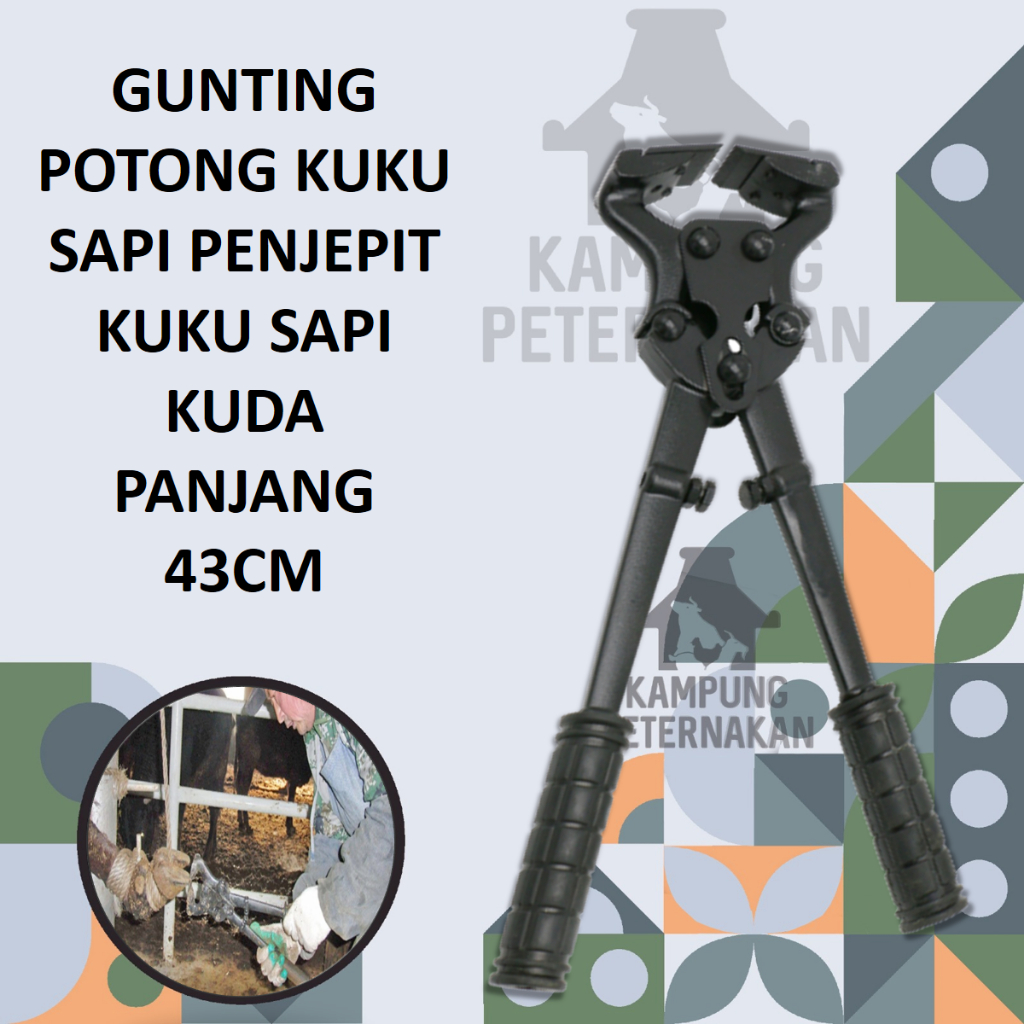 Jual Tang Potong Kuku Ternak Tang Perbaikan Kuku Sapi Multifungsi Hewan ...