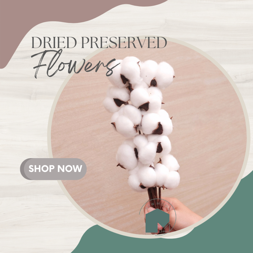 Jual Dried cotton bunga kapas kering buket bouquet preserved bunga asli ...