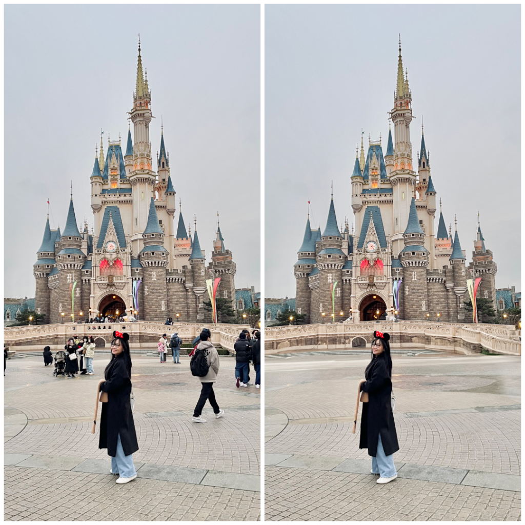 Jual Jasa Edit Foto Background Remove Objek/Remove People | Shopee ...