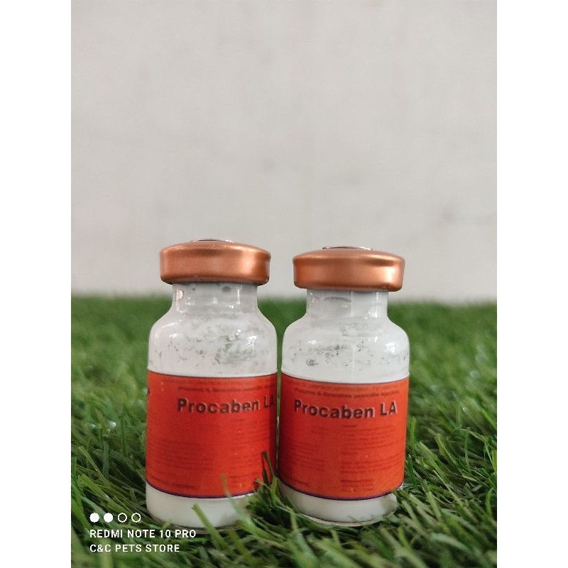 Jual Procaben LA pengganti Penstrep 400 Injeksi 10 ml | Shopee Indonesia