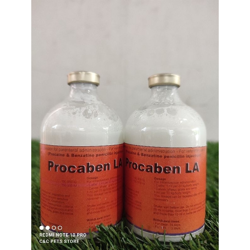 Jual Procaben LA pengganti Penstrep 400 Injeksi 100 ml | Shopee Indonesia