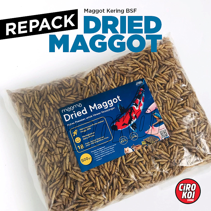 Jual [ REPACK ] Dried Maggot BSF Kering Tinggi protein Magot Magalarva ...