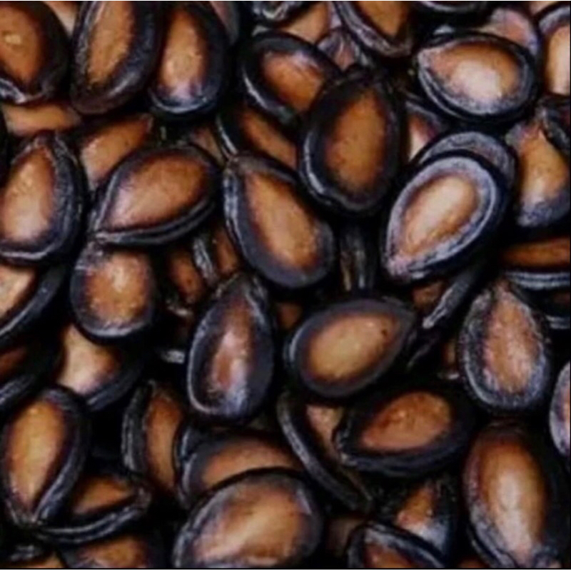 Jual Kuaci Hitam | import (500gram) | Shopee Indonesia