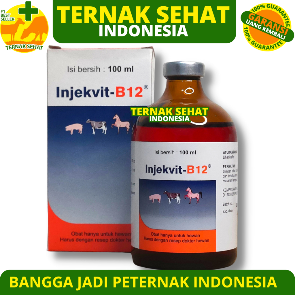 Jual INJEKVIT B12 100 ml - Vitamin B12 untuk perbaiki kondisi tubuh ...