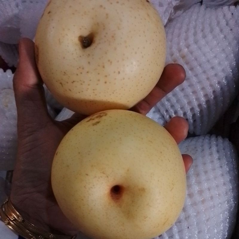 Jual buah pear madu/ Century 29900 | Shopee Indonesia