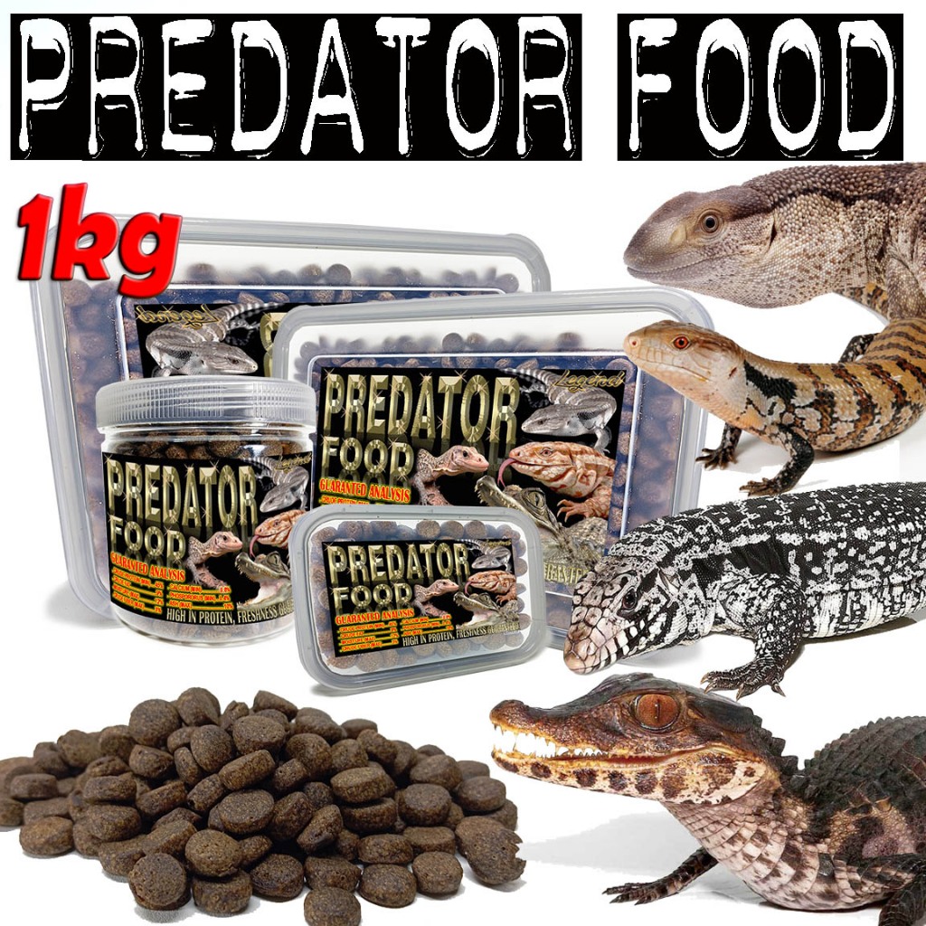 Jual 1KG PELET DIET MAKANAN REPTILE PREDATOR FOOD PAKAN TEGU KURA AST ...