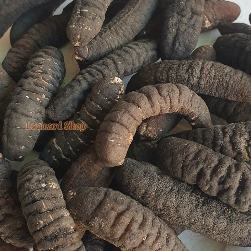 Jual HAISOM SUPER BANGKA BELITUNG KERING 100 GRAM ISI 3 EKOR ...