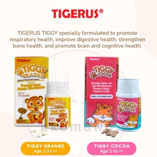 Jual Tiggy orange tigerus / Tiggy Cocoa || Tiggy Orange || Tigo Kids ...