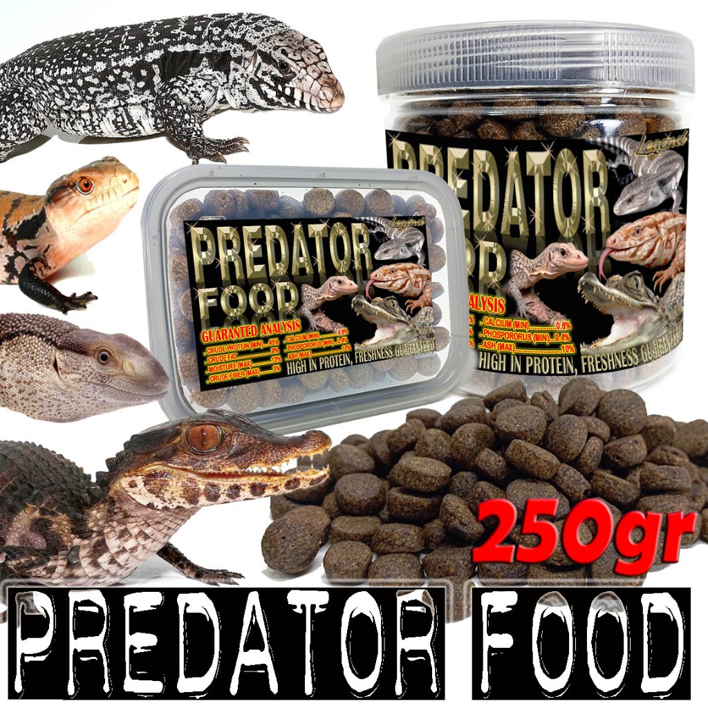 Jual 250GR MAKANAN PREDATOR FOOD PELET DIET PAKAN REPTILE VARANUS ...