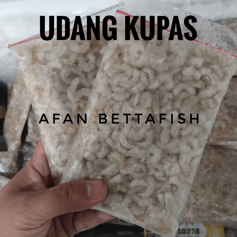 Jual Udang Api Kupas Beku 500gr Pakan Ikan Arwana Predator / Udang Laut ...