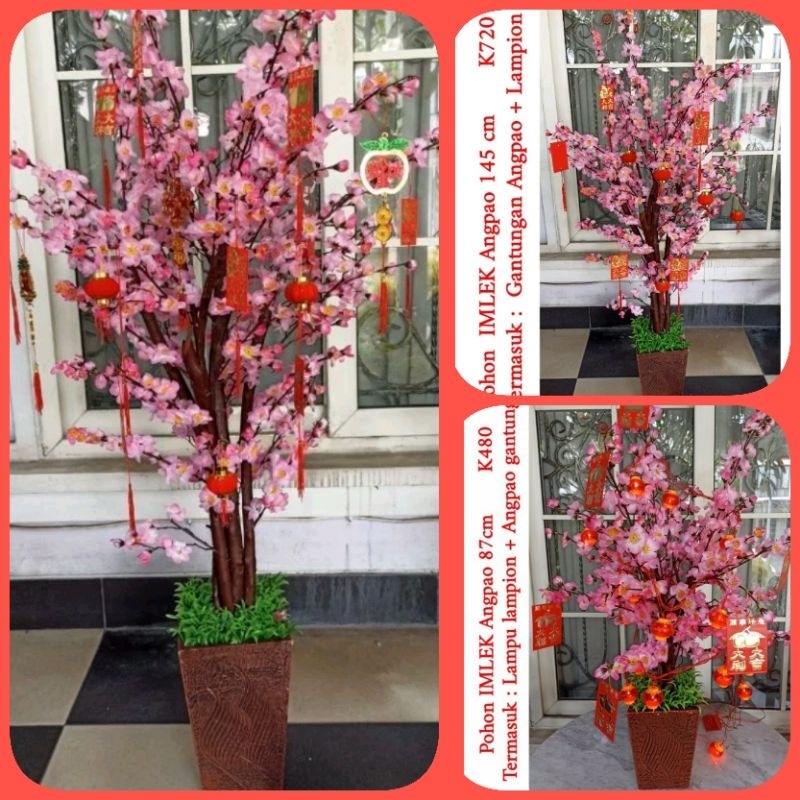 Jual Pohon bunga imlek meihua sincia angpao sakura besar tinggi murah ...