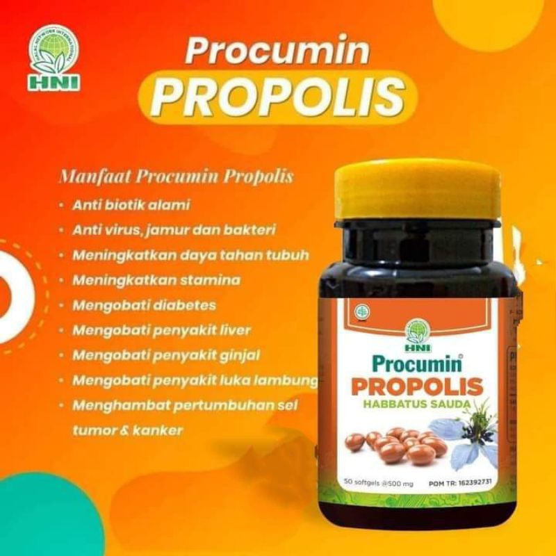 Jual Procumin Propolis HNI HPAI | Shopee Indonesia