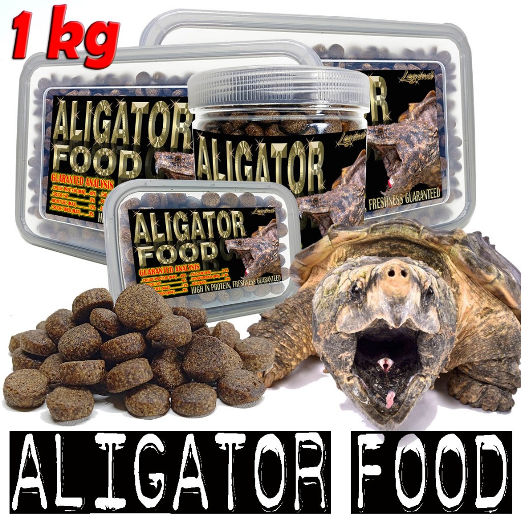 Jual 1KG PAKAN PELET KURA AIR CST COMMON SNAPPING TURTLE ALIGATOR FOOD ...
