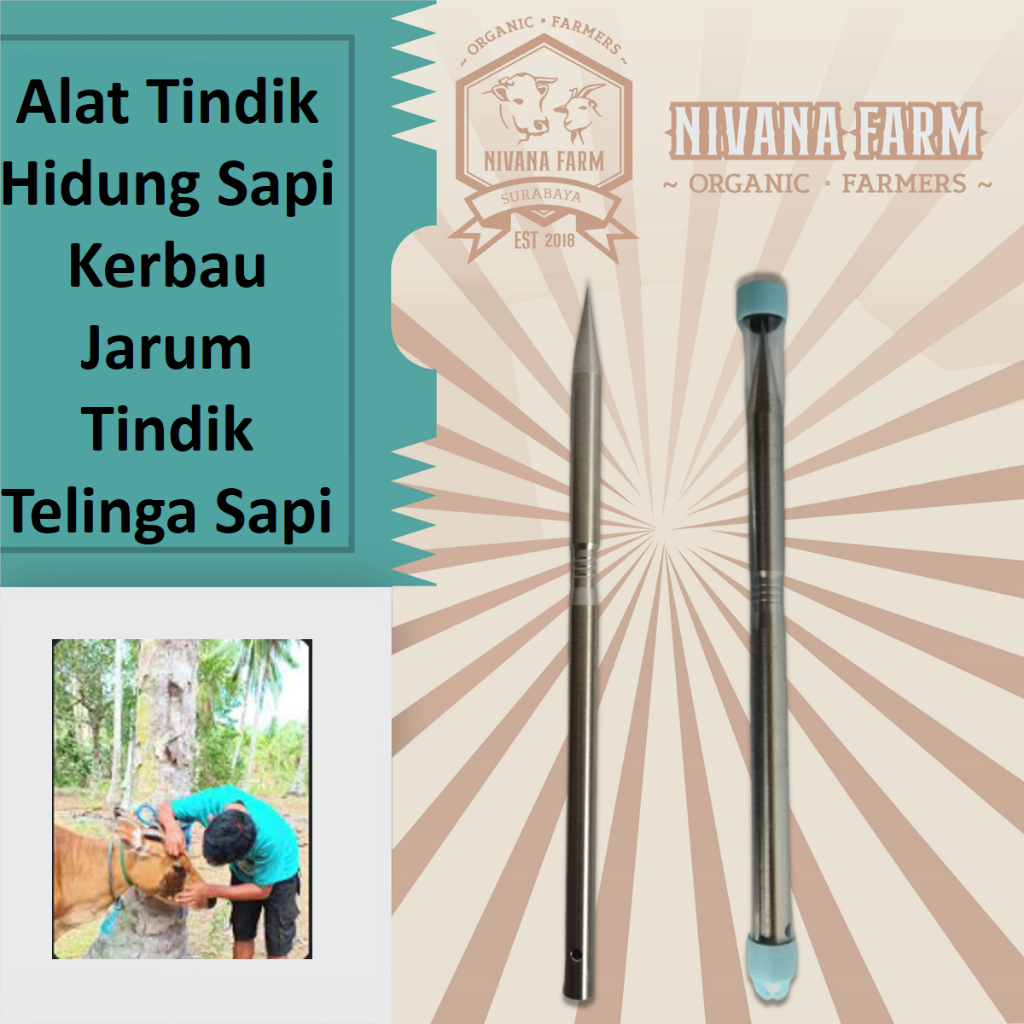 Jual Alat Tindik Hidung Sapi Kerbau Jarum Tindik Telinga Sapi | Shopee ...
