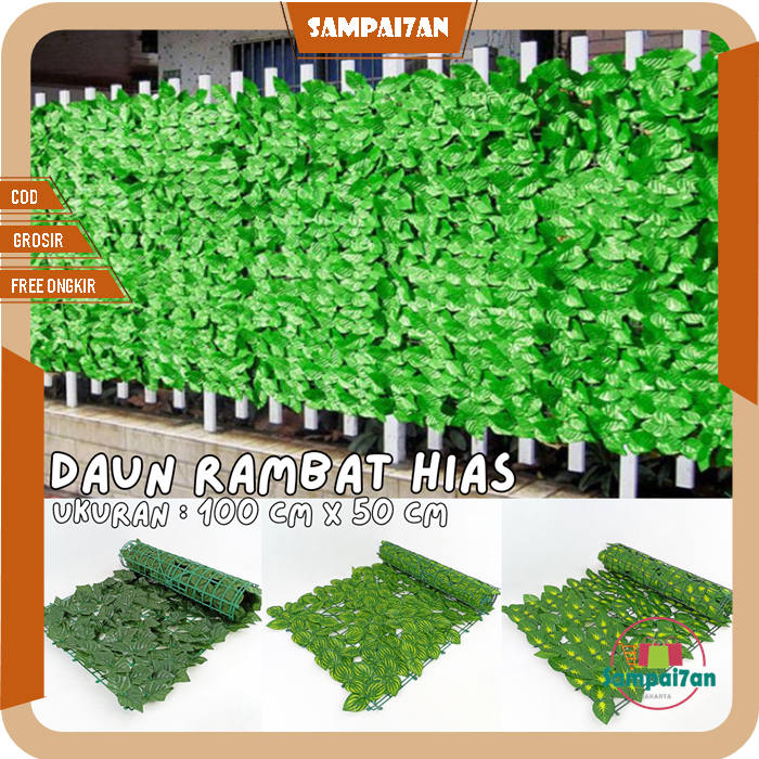 Jual Daun Rambat Dolar 100 x 50 CM Hias Plastik Tanaman Sintetis Hiasan ...