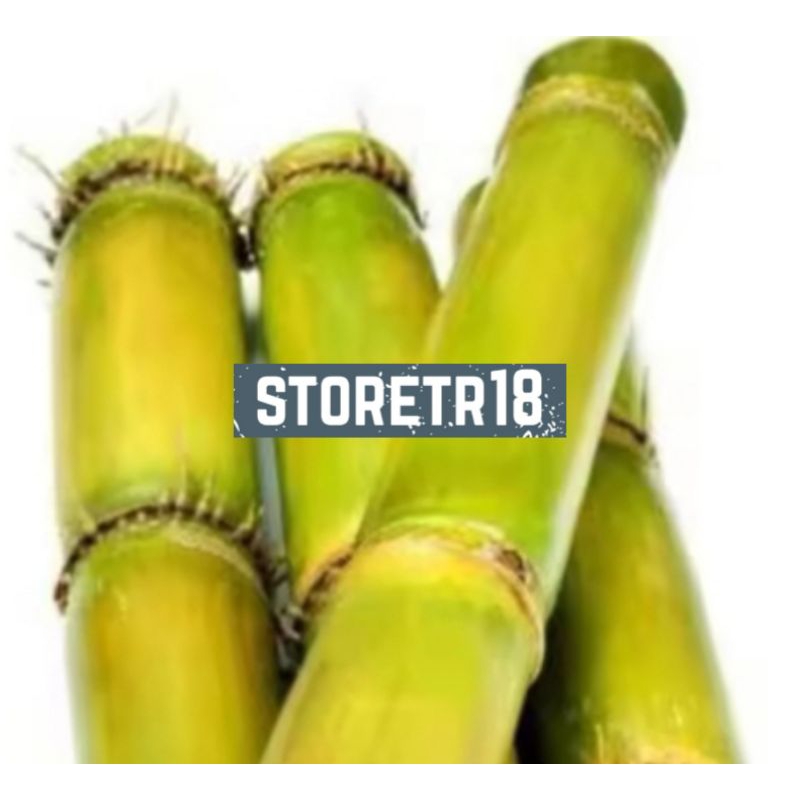 Jual Batang Tebu Hijau Segar Per 500 Gram | Shopee Indonesia