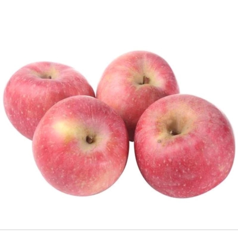 Jual BUAH APEL FUJI 950G-1KG / APEL FUJI Manis dan Garing / JAMIN SEGAR ...