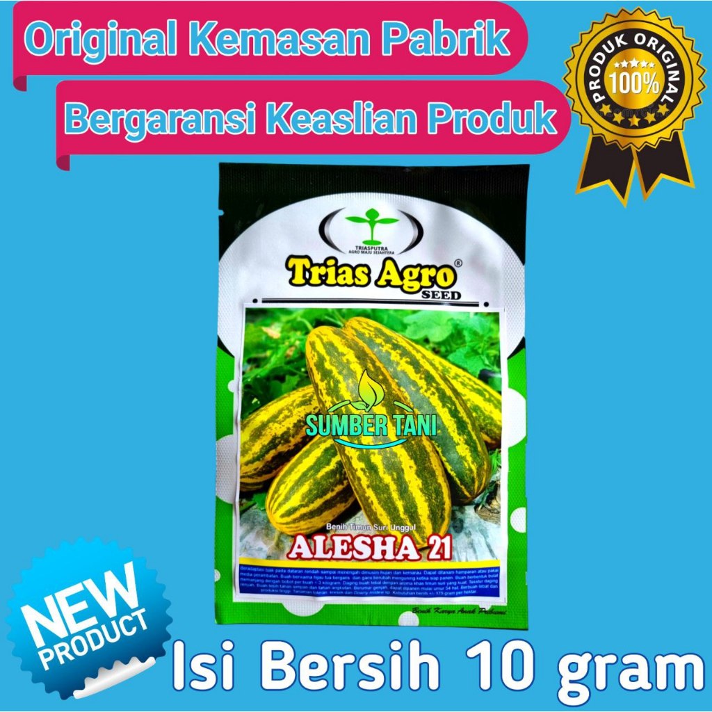 Jual Benih Timun Suri Unggul SYAKIRA Isi 10 Gram Bibit Timun Suri Lorek,Wangi,Pulen | Shopee ...