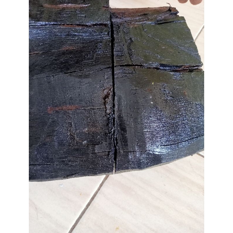 Jual kayu galih kelor | Shopee Indonesia