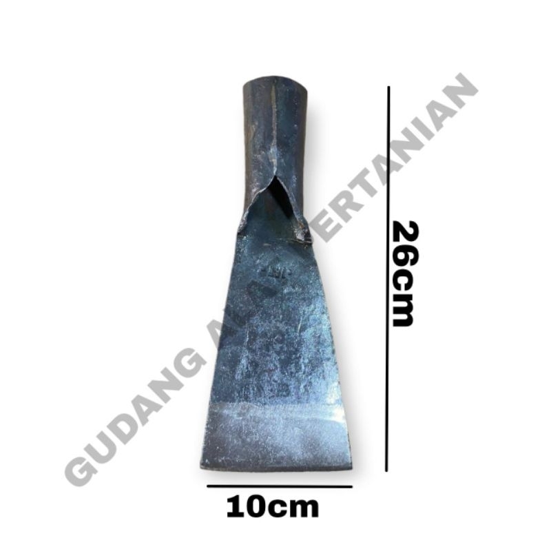 Jual Dodos Tanah Baja | Shopee Indonesia