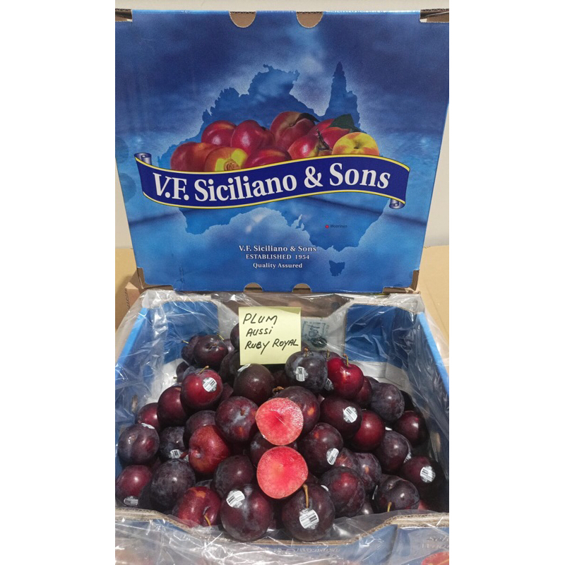 Jual Buah Plum Ruby Royal Australia 1 Dus (10 KG) Fresh Import | Shopee Indonesia