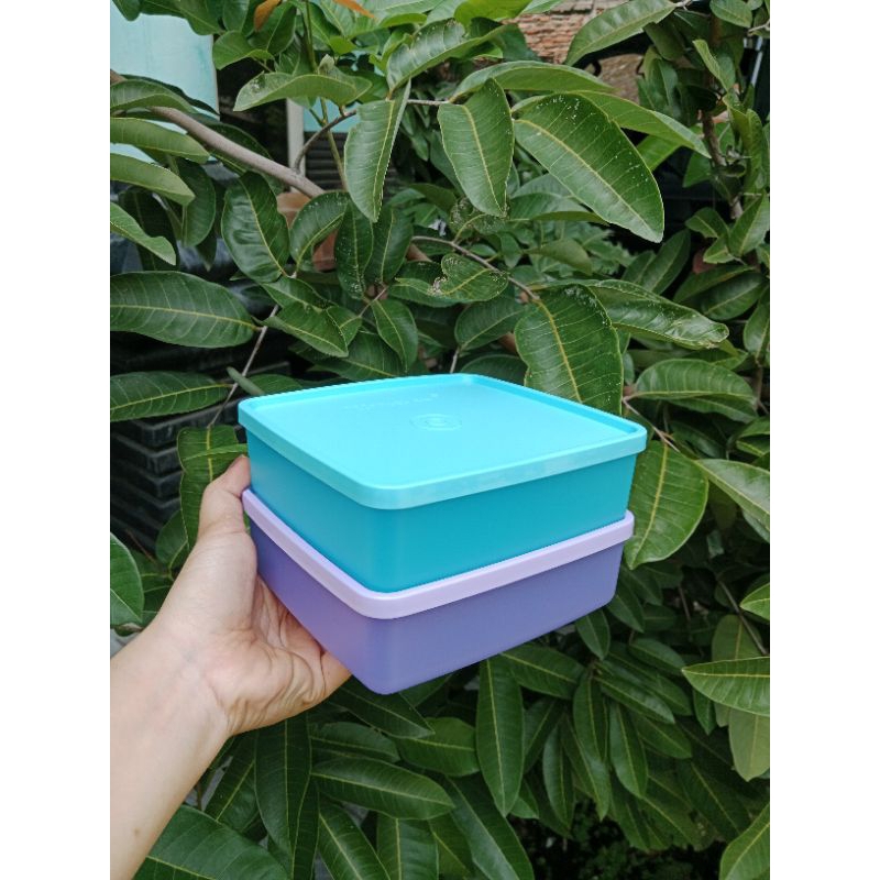 Jual large square away tupperware | Shopee Indonesia