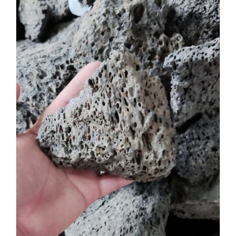 Jual Batu Eragon 1 Kilo Dragon Garang Stone Hardscape Aquascape ...