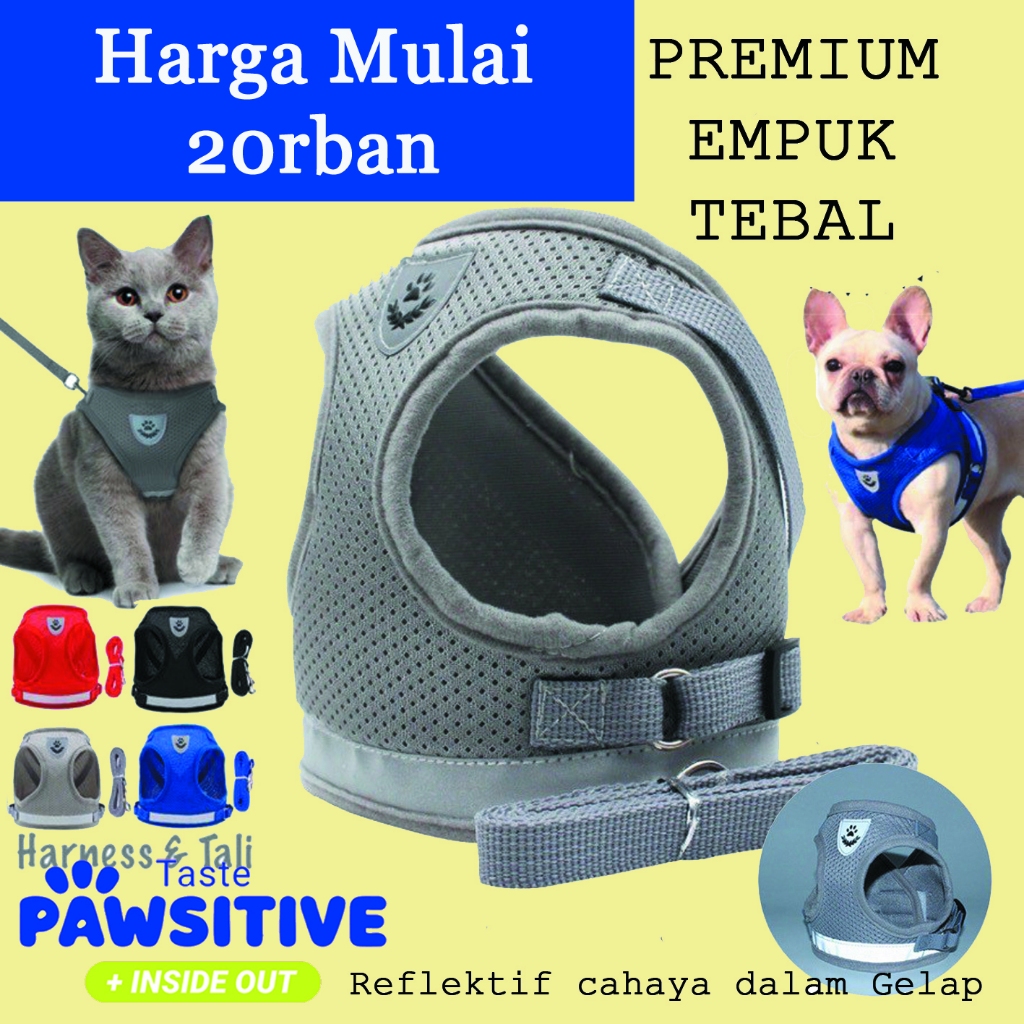 Jual Tali Kucing Harness Anjing Kucing TALI TUNTUN KUCING TALI Anjing ...