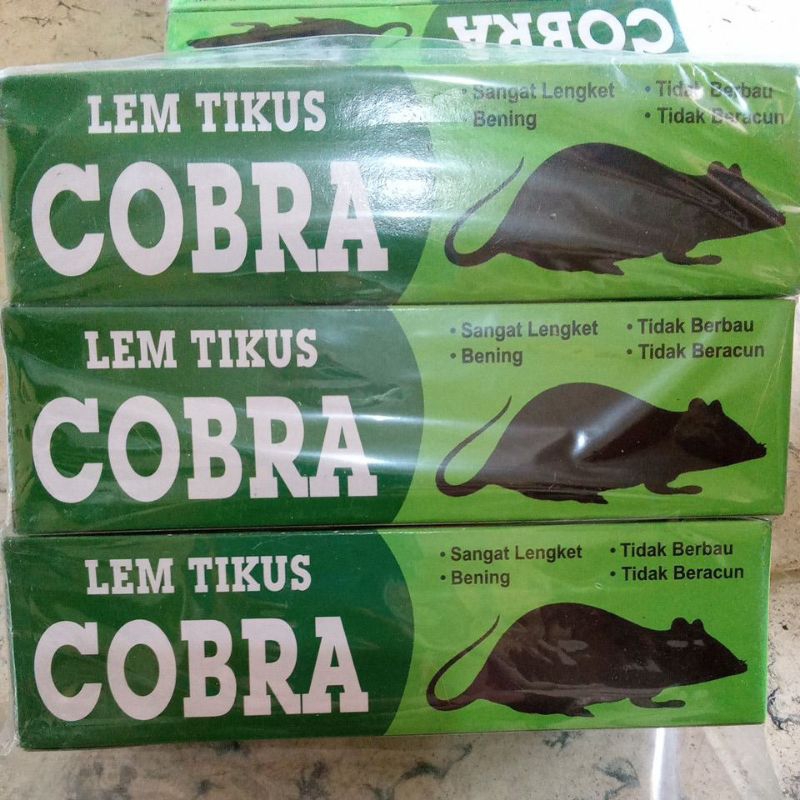 Jual Lem tikus super lengket kobra original | Shopee Indonesia